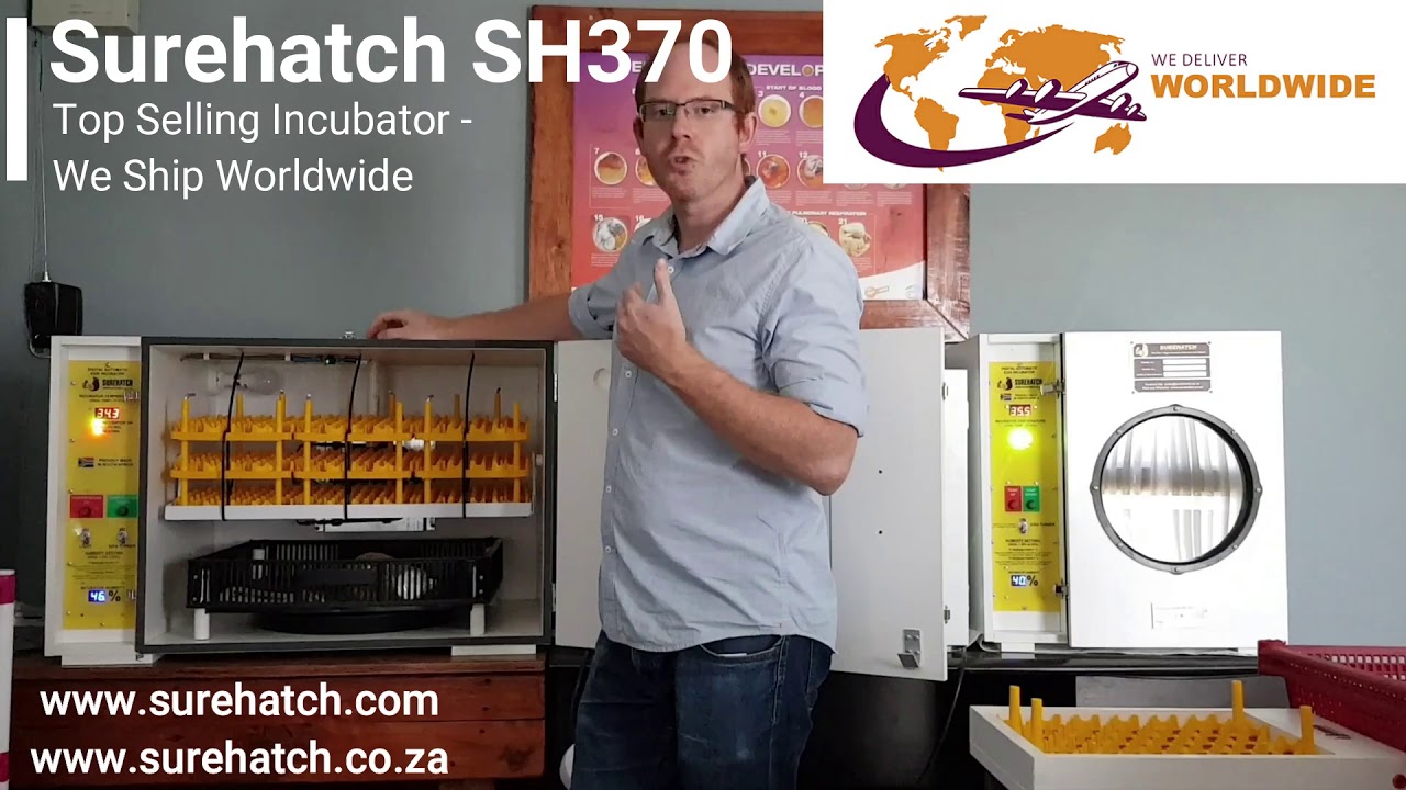 Surehatch SH370 Egg Incubator Review - User friendly Egg Incubator ...