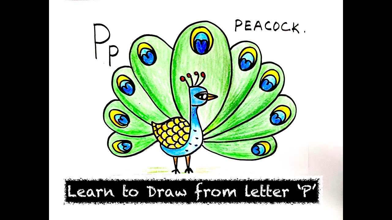 How to draw a Peacock | Alphabet Drawing with 'P' for PEACOCK | Easy ...