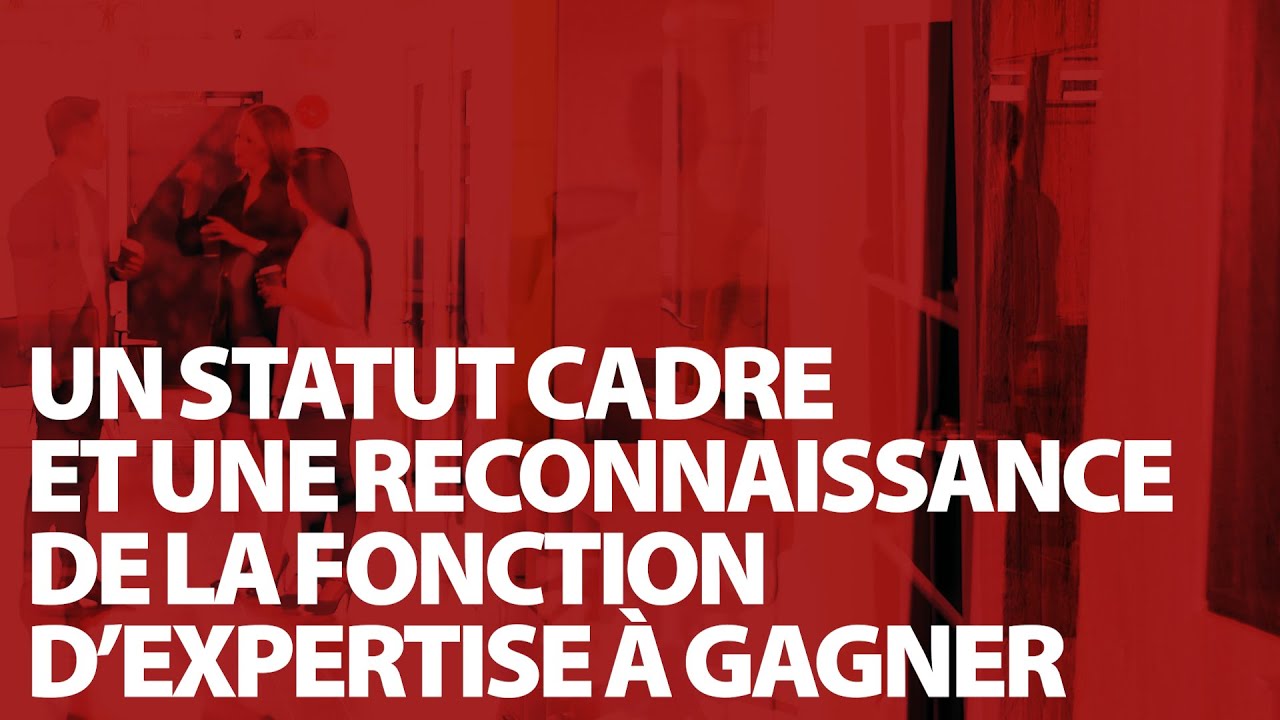 Un statut cadre et une reconnaissance de la fonction d’expertise à ...