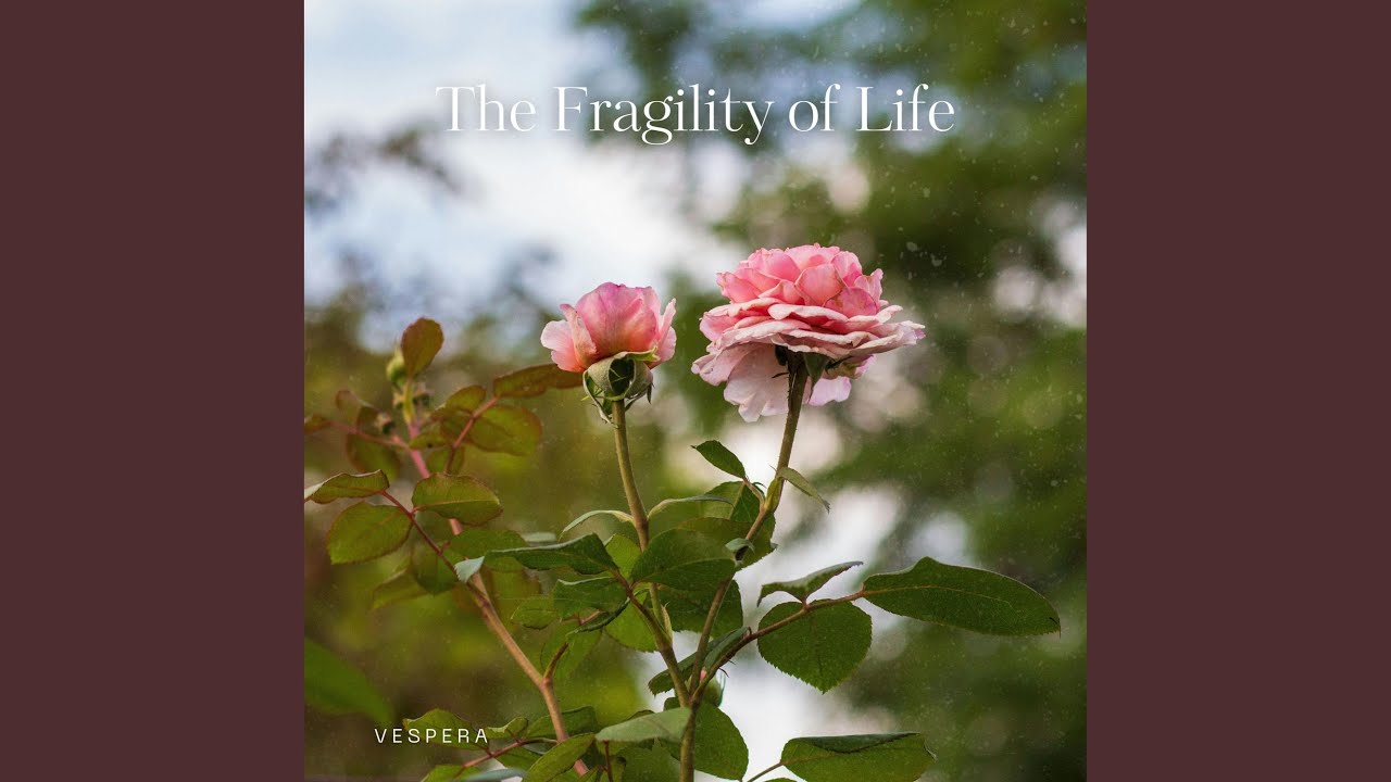 The Fragility of Life - YouTube