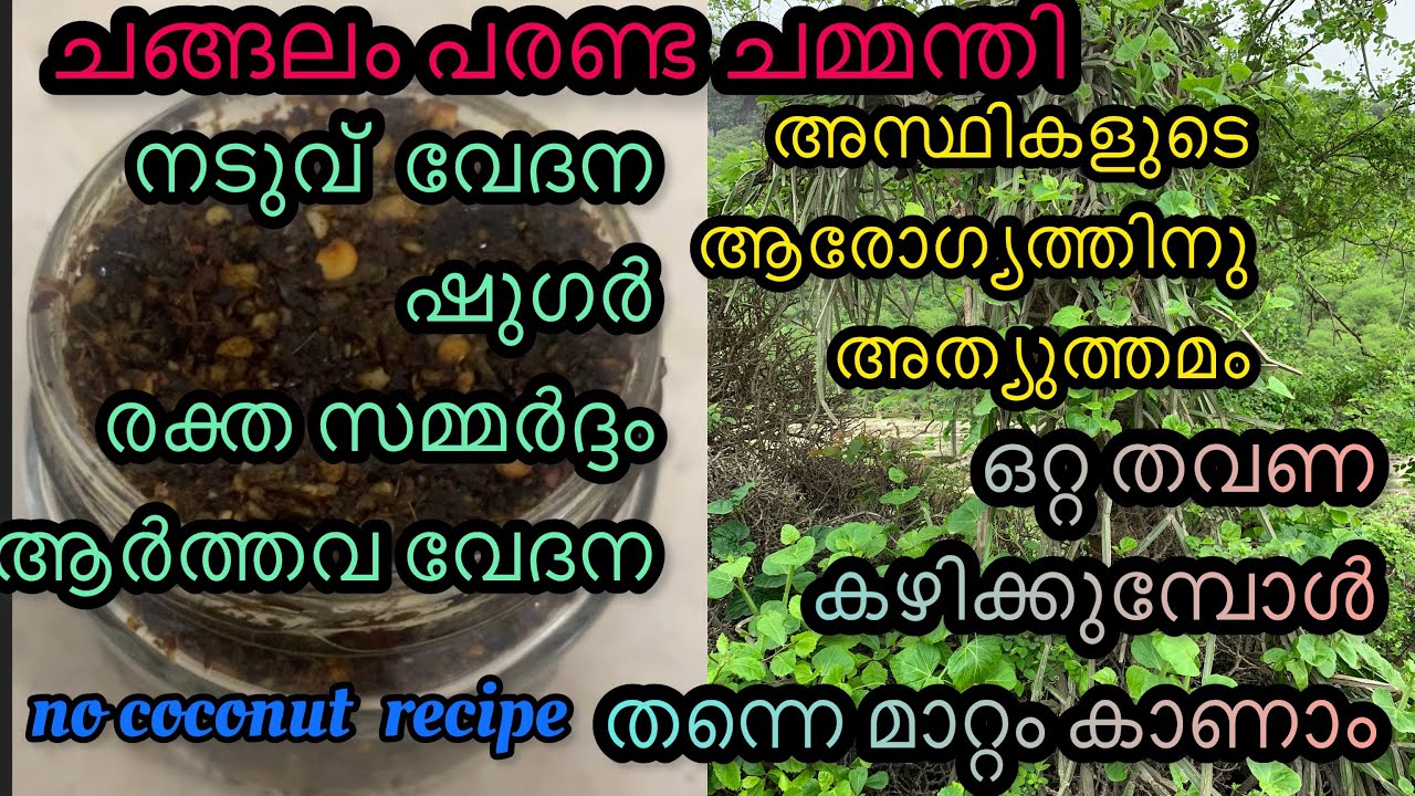 How to make Changalamparanda chammanthi |ചങ്ങലംപരണ്ട ചമ്മന്തി | Health ...