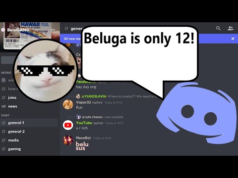 I Interviewed Beluga's Discord Server (Shocking Answers) - YouTube