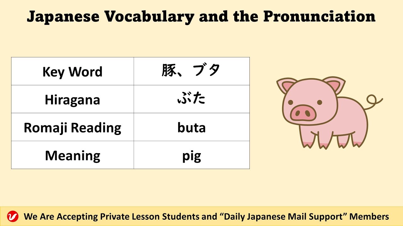 豚 (ぶた、ブタ、buta) | pig | Japanese Vocabulary and the Pronunciation - YouTube