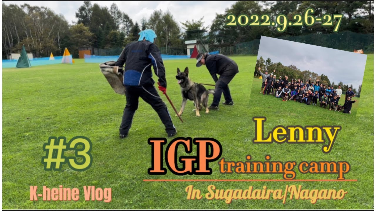 【犬の訓練】IGP Training Camp🐾in Sugadaira/Nagano Vol 3 - YouTube