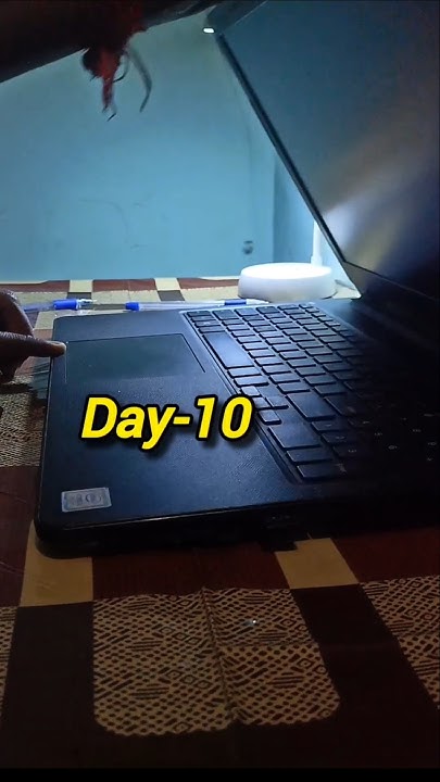 Day-10/100 days of code challenge #shorts #coding #100daysofcode - YouTube