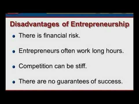Enterprise ? Entrepreneur ? Advantages/Disadvantages of being an ...