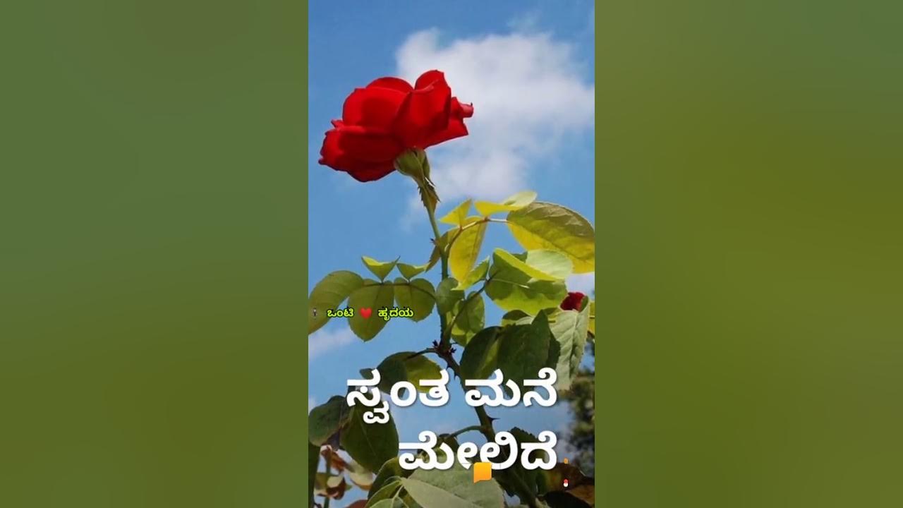 Wonderful Meaning YouTube wonderful-meaning-youtube