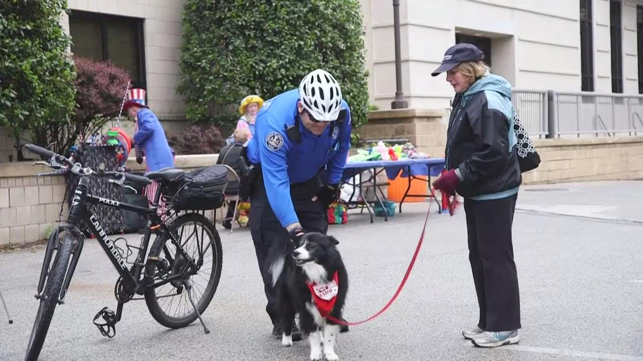 Dog Walker Watch program aims to get you involved in community safety ...