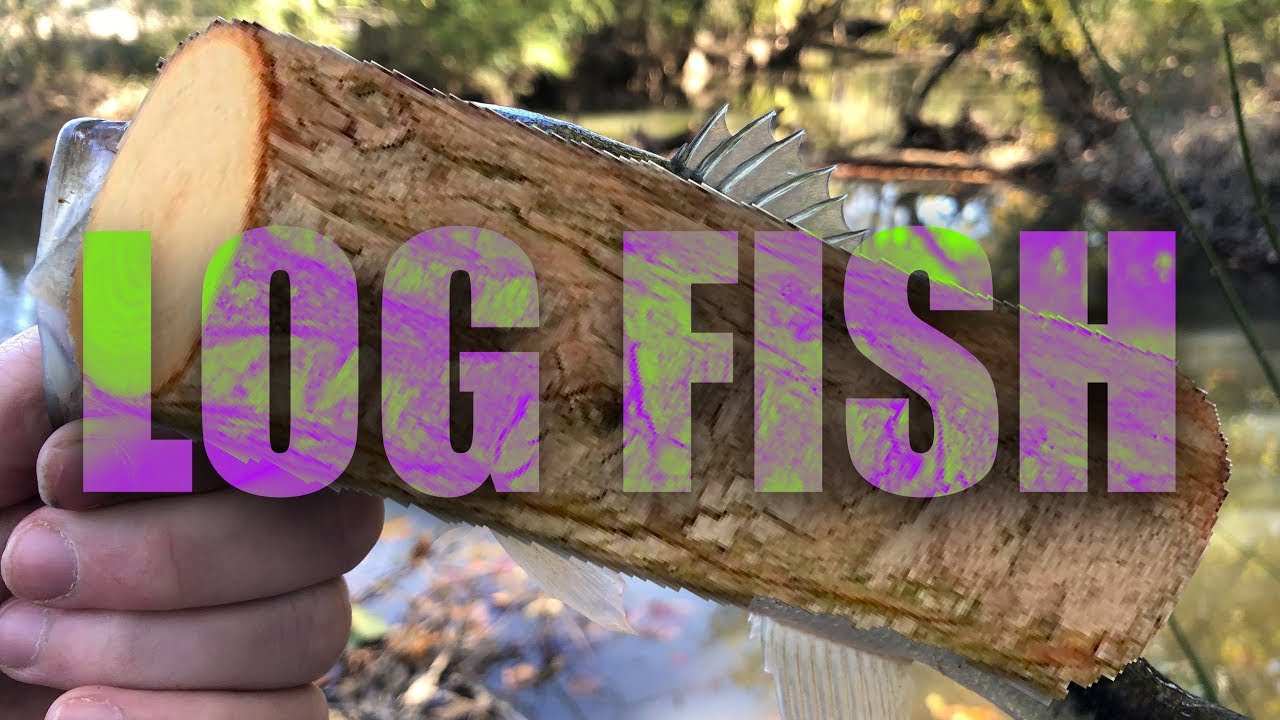 Smashing Log Fish Like A Pro - YouTube