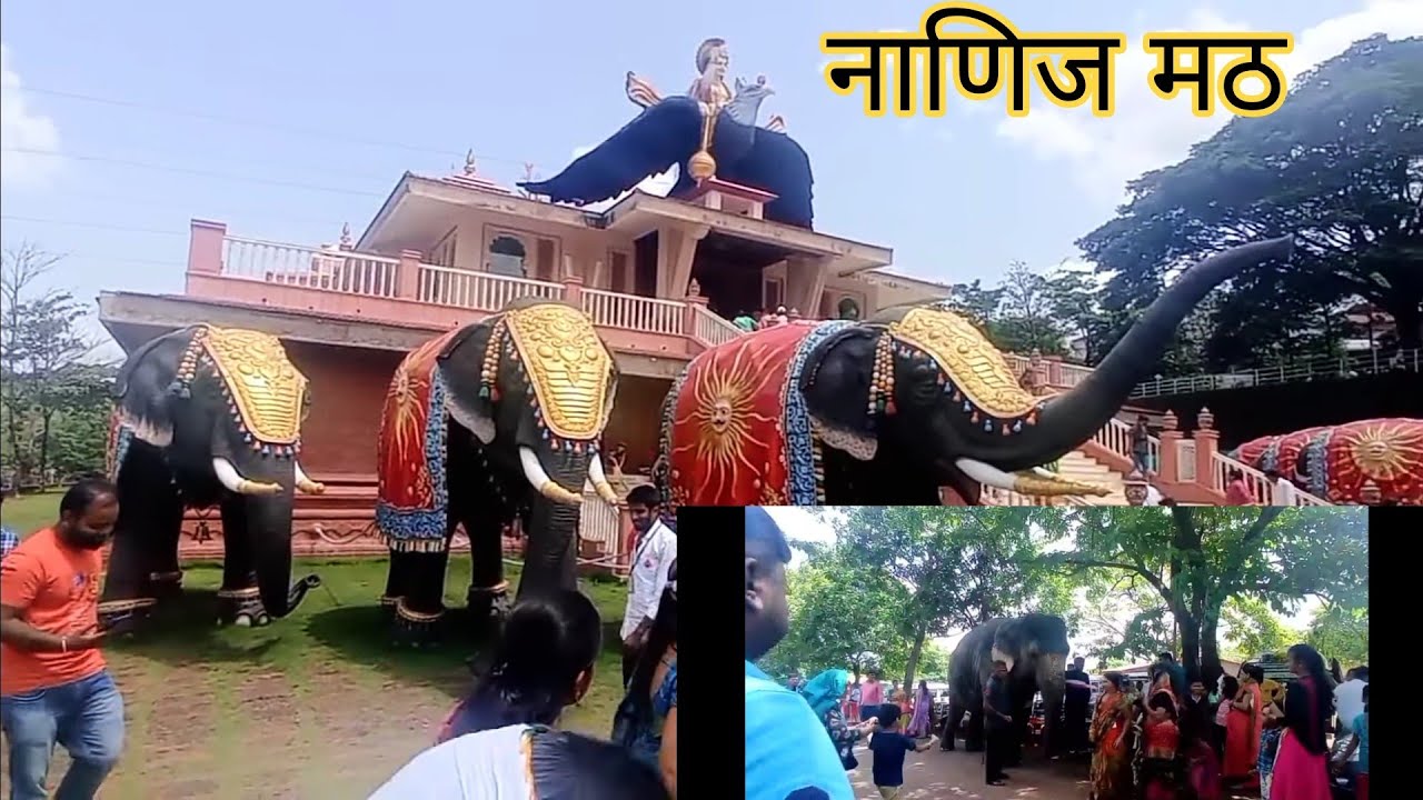 Nanij dham| Ratnagiri | Nanij math | नाणीज मठात मिळाले हत्तीचे दर्शन 🙏🐘 ...