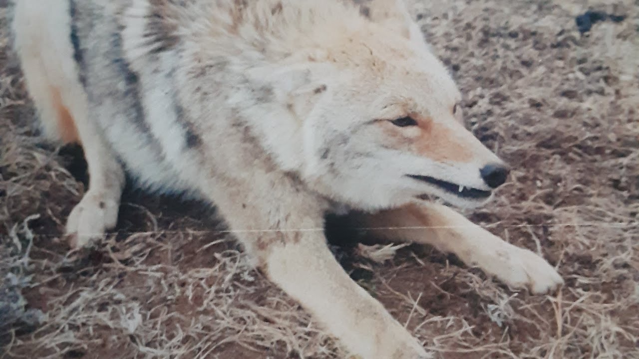 Lure and Bait Selection/ Usage part 2 - YouTube