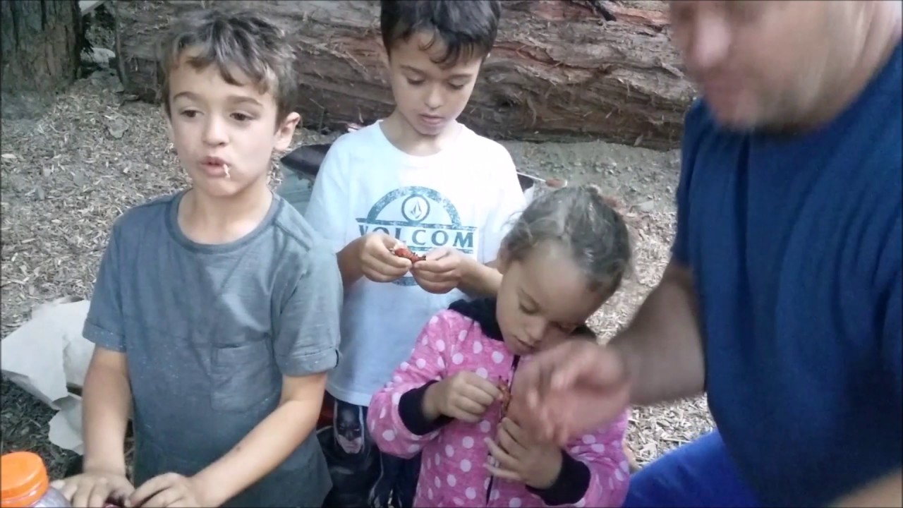 TRAVEL VLOG: Tent Camping Crawfish Catching BIG SUR, CALIFORNIA - YouTube