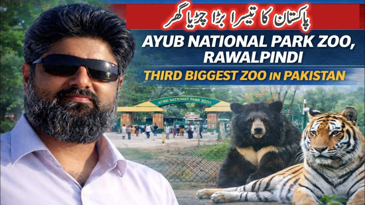 3rd Biggest Zoo | Ayub National Park Zoo In Rawalpindi | Highly ...