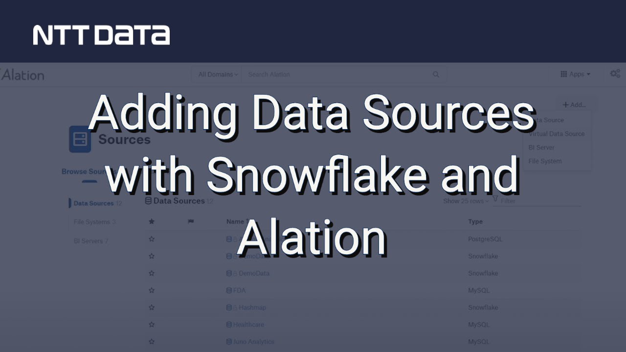Adding Data Sources with Snowflake and Alation - NTT DATA Databytes ...
