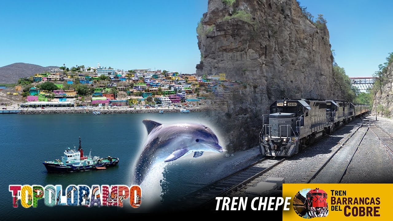 Viaje en Tren Chepe, Barrancas del Cobre, Topolobampo, Delfín el ...