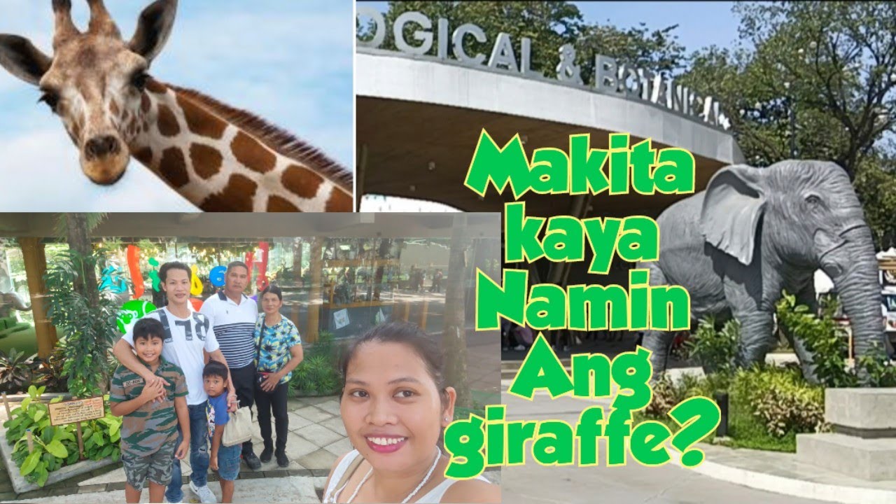 Nagpunta kami sa Manila Zoo ll part 1 ll mama nemz - YouTube