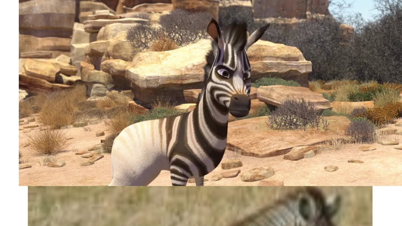 khumba characters in real life - YouTube