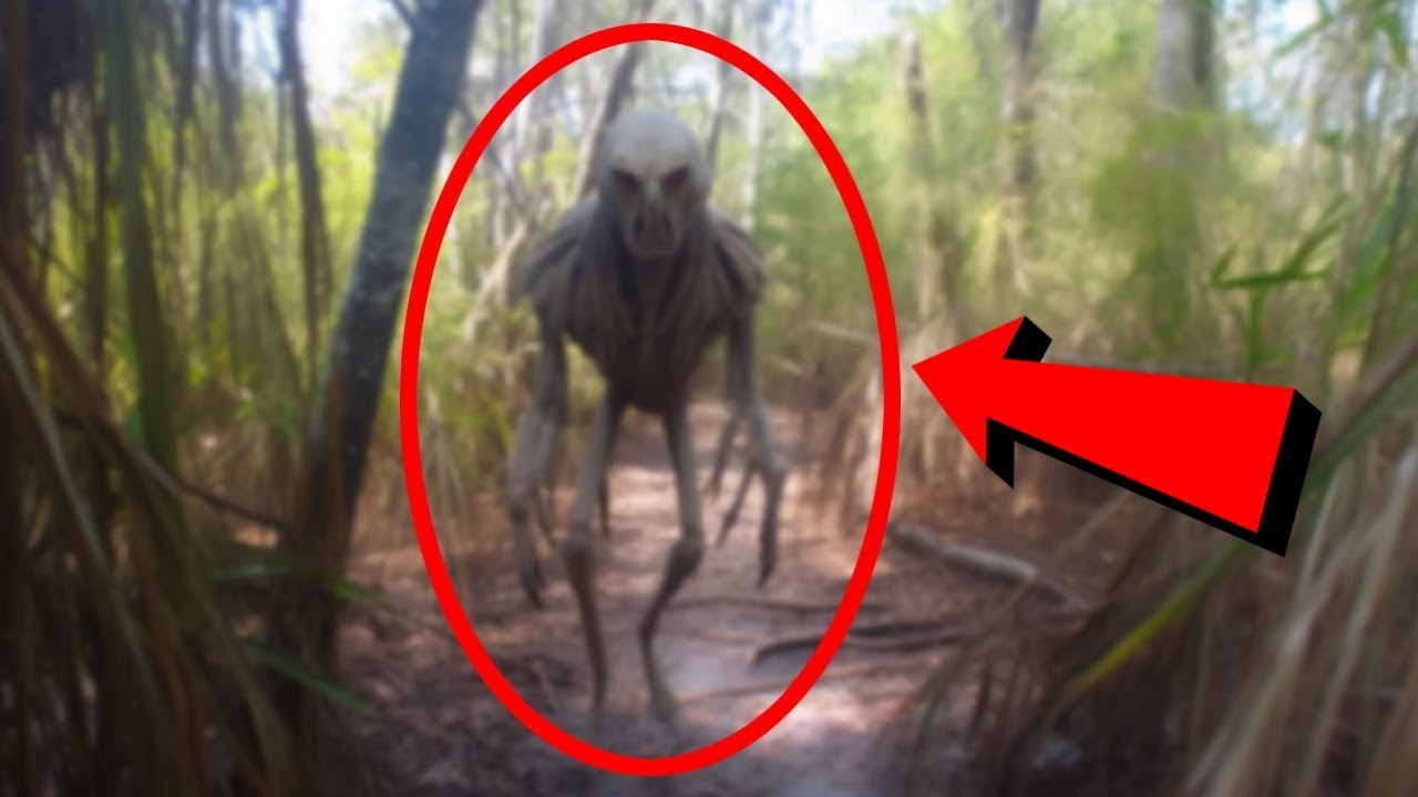 Mega Compilation of Most Disturbing Trail Cam Footage - YouTube