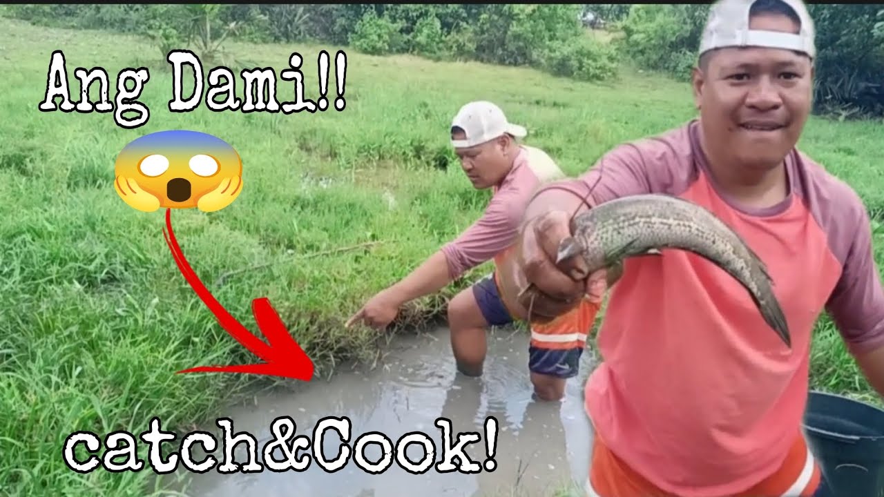 Natagpuan!! Namin Ang Lungga nang mga Hito At Dalag! - YouTube