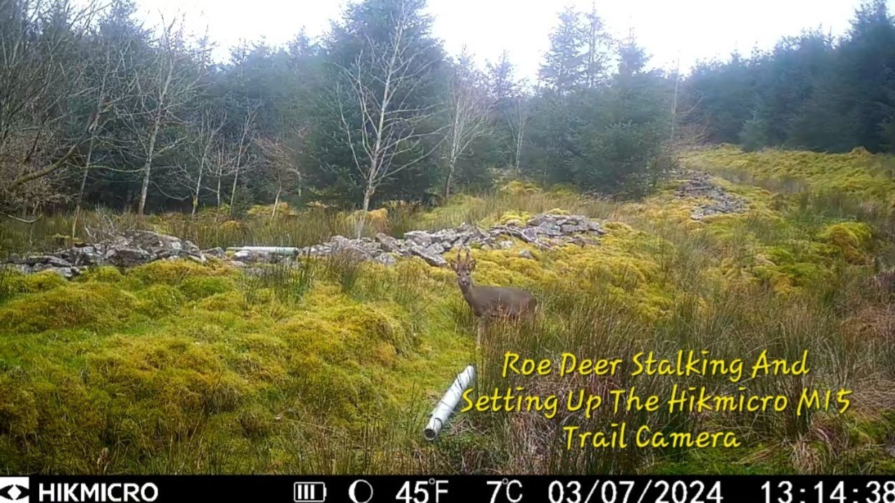 Roe Deer Stalking And Setting up The Hikmicro M15 Trail Camera - YouTube