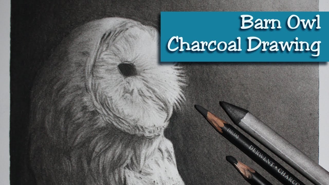 Clarity - Barn Owl Charcoal Drawing Demonstration - YouTube