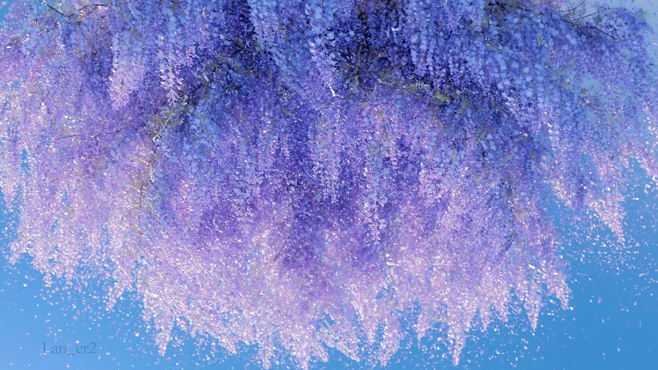 Wisteria growth animation created using Blender（Work Show） - YouTube
