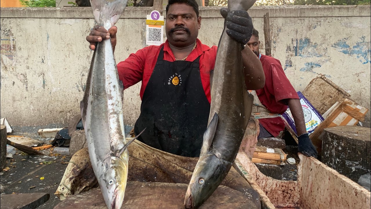 KADAVURA FISH 🐟 KASIMEDU SPEED SELVAM AMAZING FISH CUTTING SKILLS # ...