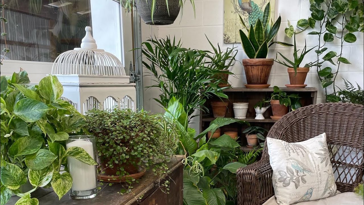 Plant Studio Makeover/House Plant Decor/Decorating with Plants/Plant ...