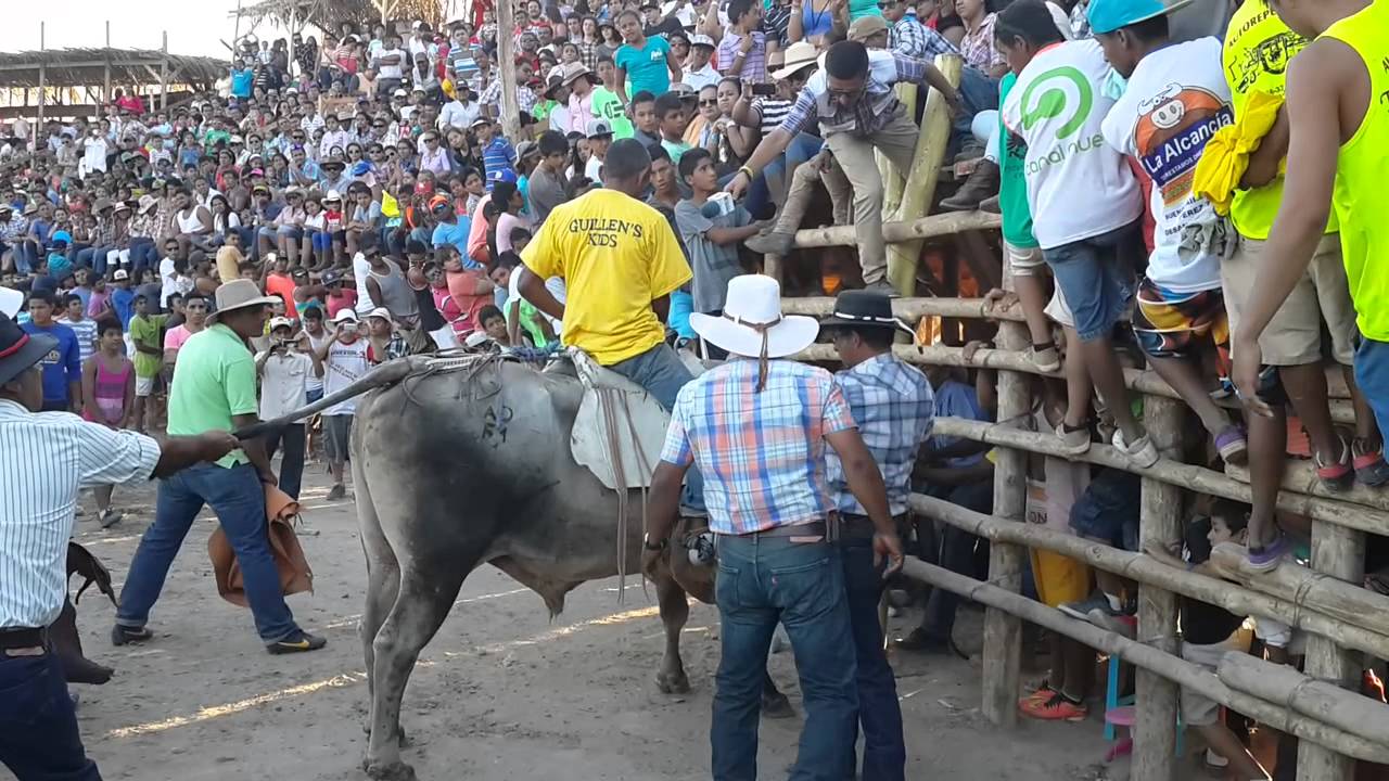 Monta De Toros En Mexico