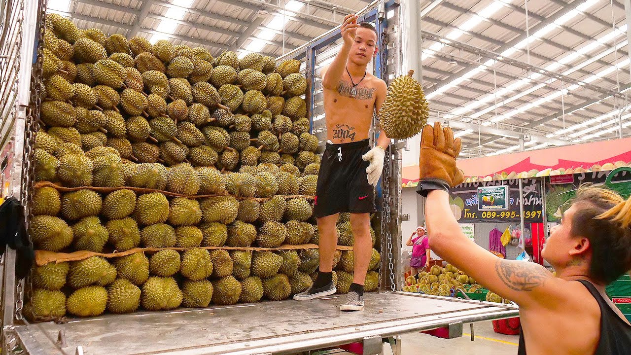 The Largest Durian Wholesale Market! Durian Cutting Skills - Thai ...