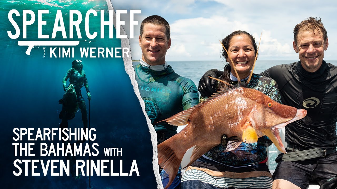 Spearfishing the Bahamas with Kimi Werner, Steve Rinella | Spearchef ...