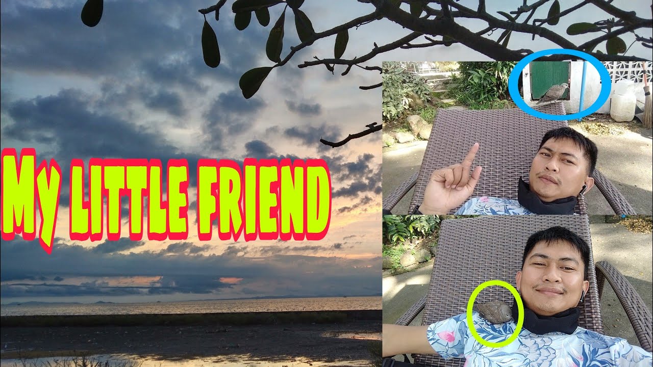 My little friend - YouTube