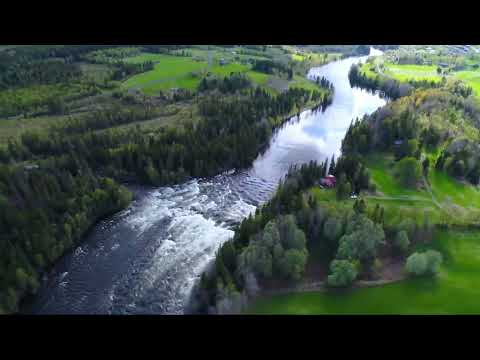 Relaxing Piano Music • Sleep Music, Water Sounds, Relaxing   by AP
