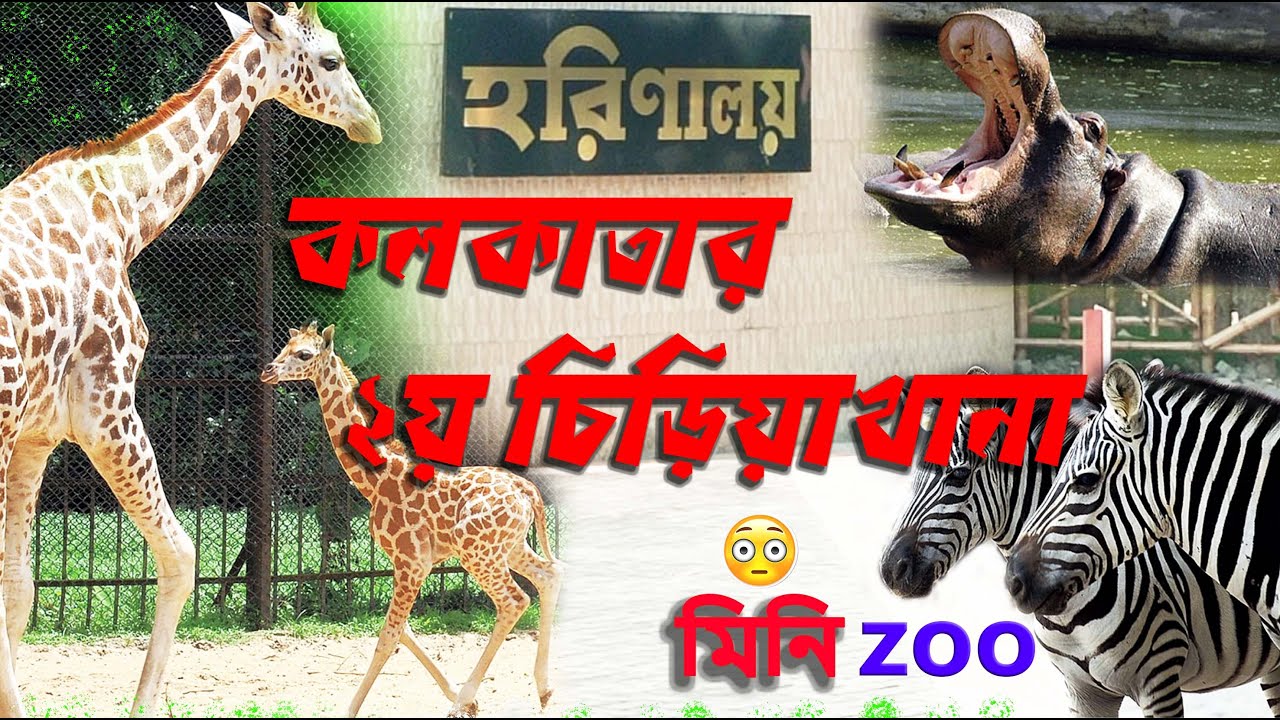 Amazing new zoo in Kolkata | Harinalaya Deer Park New Town | Eco park ...
