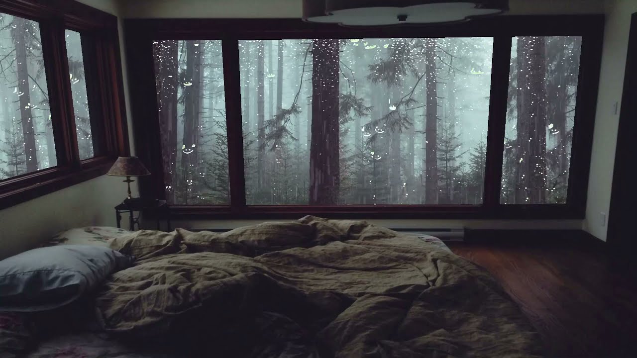Rain On the Window with Forest Back Ground for Sleep,Meditation ...