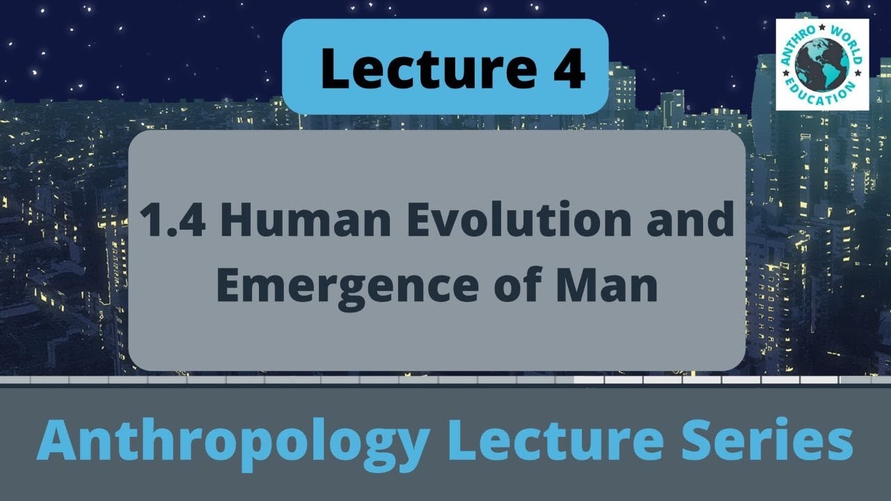 1.4 Human Evolution and Emergence of Man | Anthropology | Paper 1 - YouTube