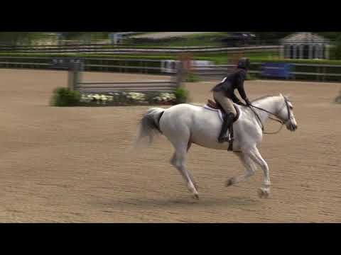 Video of BILBAO ridden by HOLLIDAY RYALS from ShowNet! - YouTube