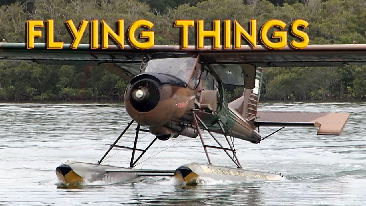 A short collection of Flying Things. - YouTube