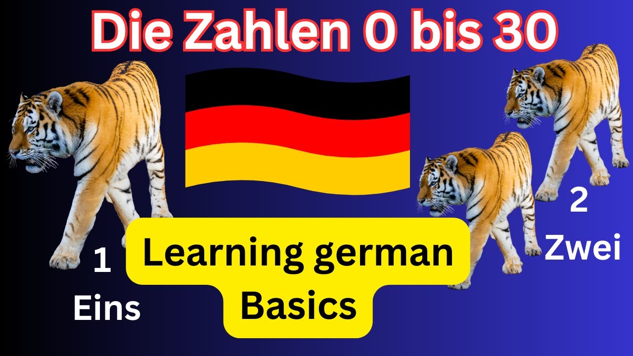 Die Zahlen 0 bis 30: Deutsch lernen / Learning german for beginners ...
