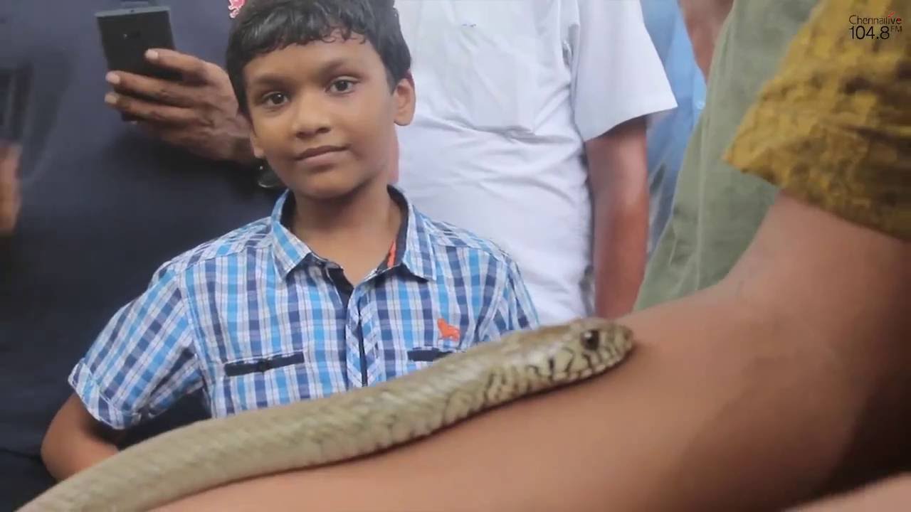 STORM Snake Workshop with Gowri Shankar, - YouTube