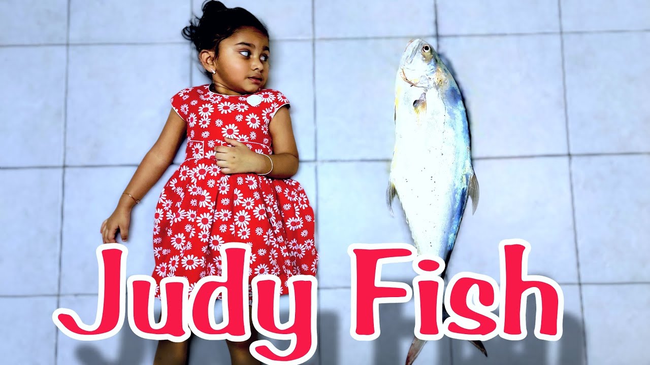 Judy Fish 🐠🐟 06 Oct 2024. - YouTube