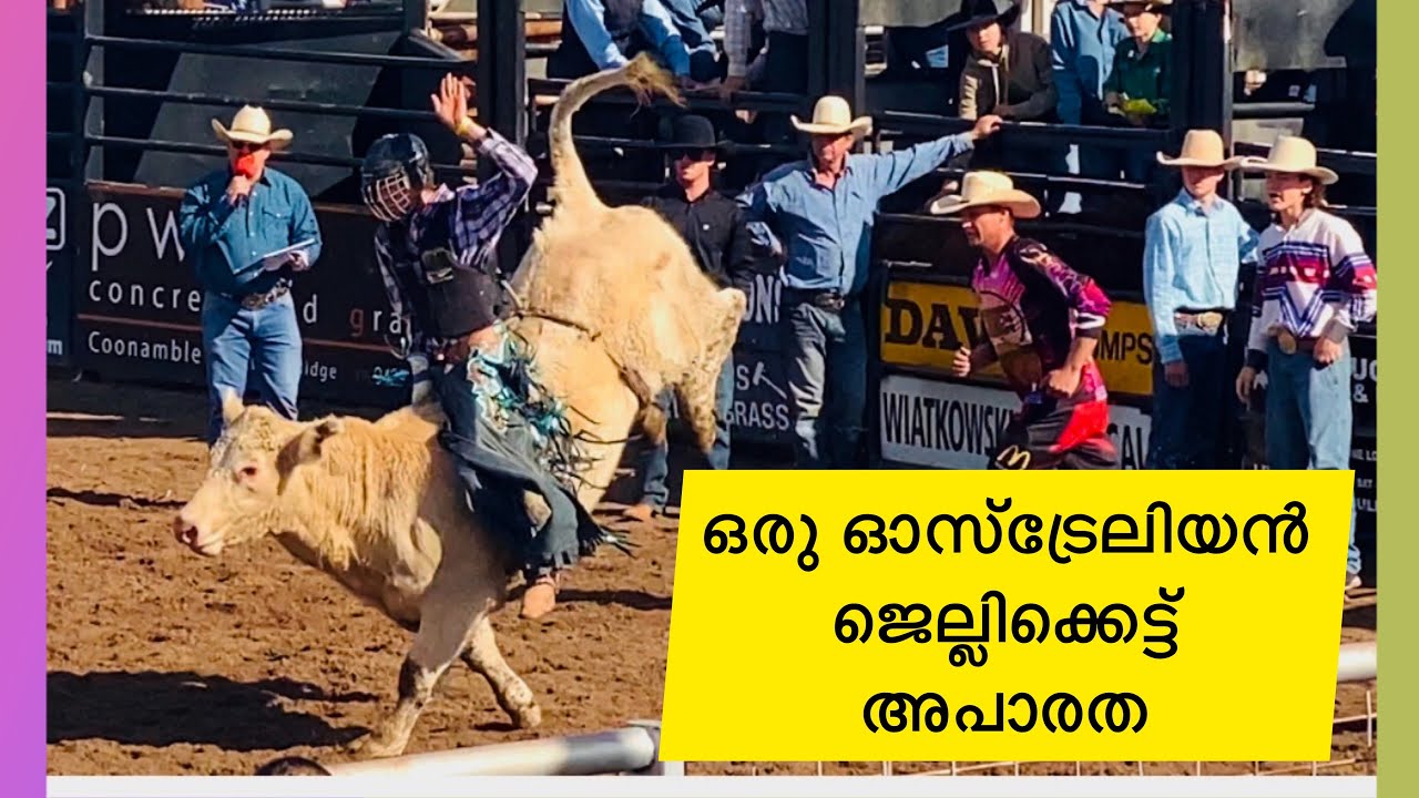 ഒരു ഓസ്‌ട്രേലിയൻ ജെല്ലിക്കെട്ടു അപാരത| Coonamble Rodeo and Campdraft ...