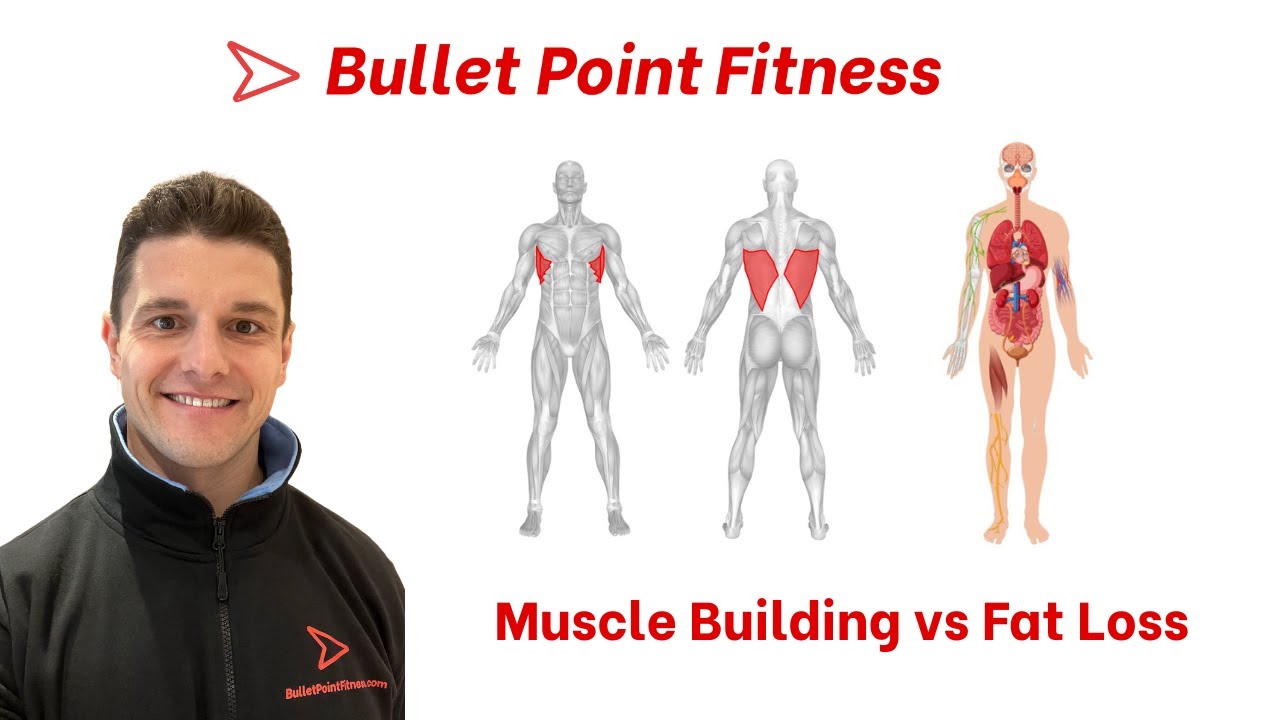 Muscle Building vs Fat Loss: Insight from Bullet Point Fitness - YouTube
