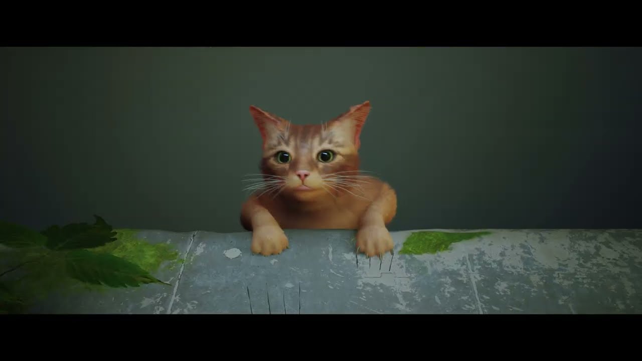 Stray - Opening scene - YouTube