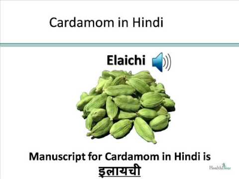 Cardamom in Hindi - Cardamom benefits - YouTube