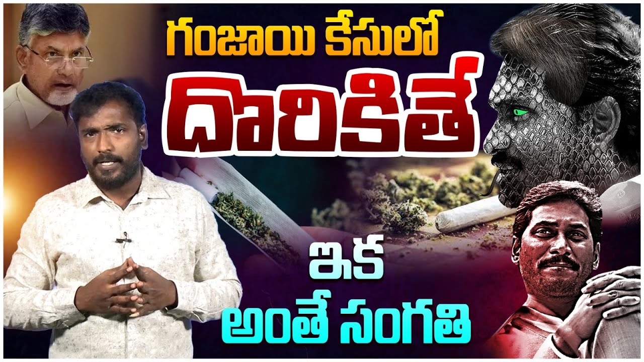 ఇక అంతే సంగతి | Analyst Sudhakar On Ganjayi Cases | CM Chandrababu | YS ...
