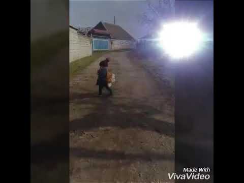 Gözel Zehram tebietde gezende 🤗