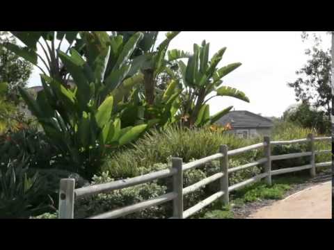 Overview - Pacific Green Landscape - YouTube