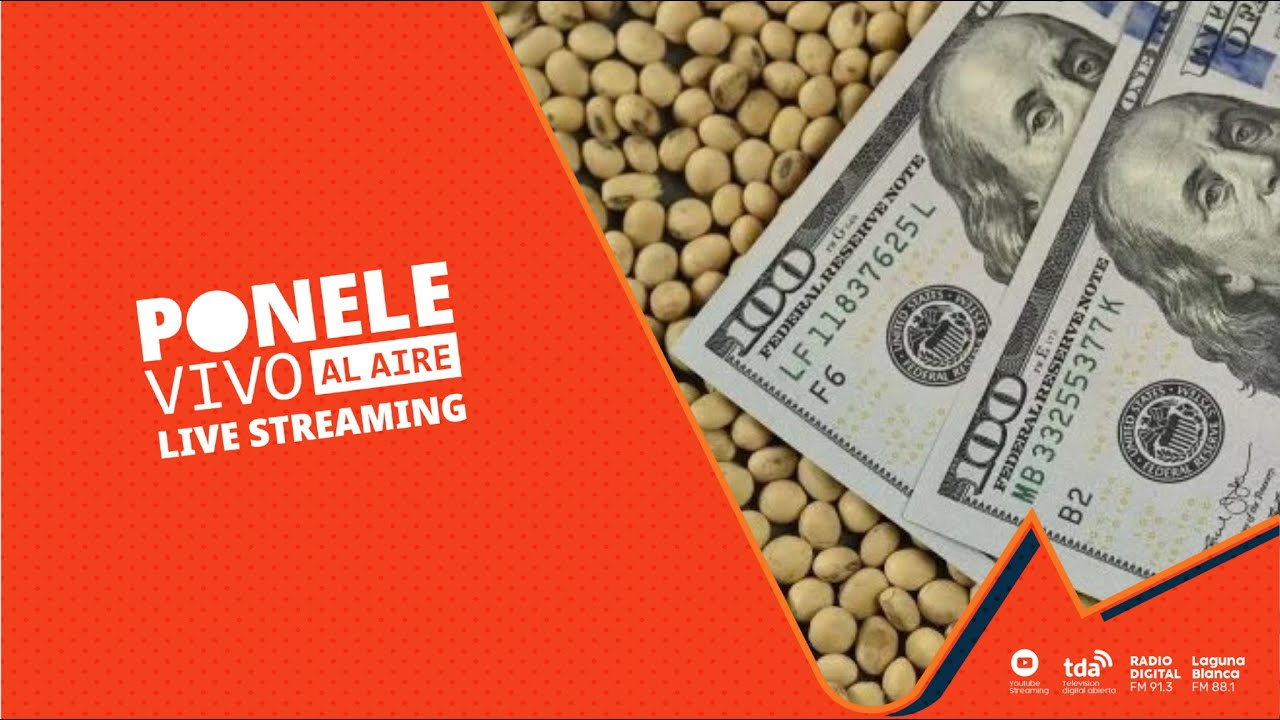 #PONELE | Javier Milei se reúne con gobernadores: ¿qué se espera del ...