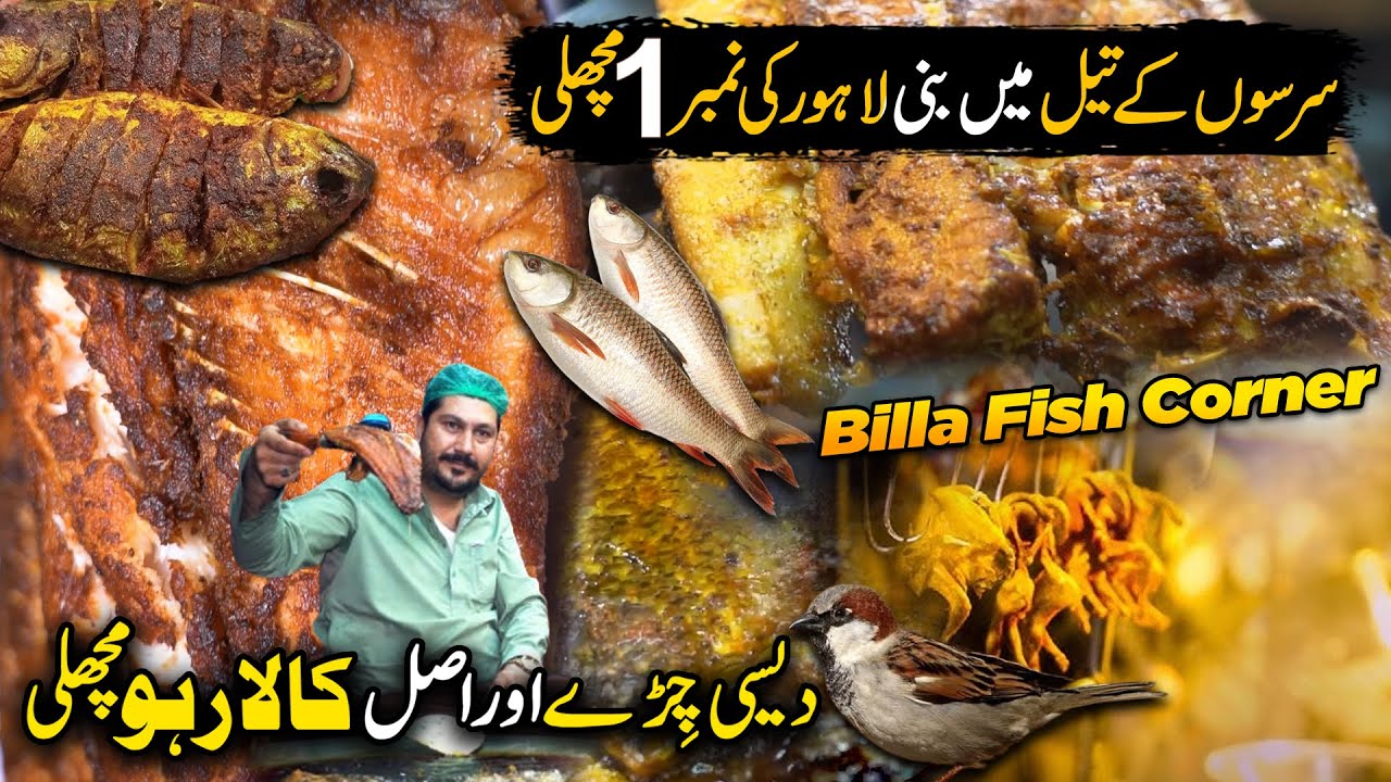 Lahore Best Food Point "Billa Fish Corner" Delicious Tawa Fish Fry with ...